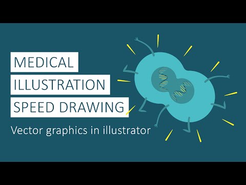 Medical Illustration Speed Drawing - Vector Graphics in Illustrator by Annie Campbell