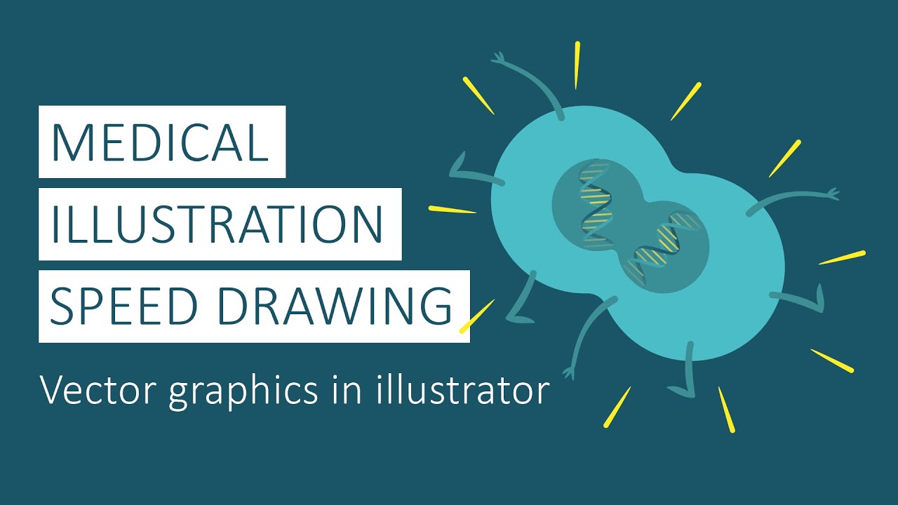 Medical Illustration Speed Drawing - Vector Graphics in Illustrator by Annie Campbell