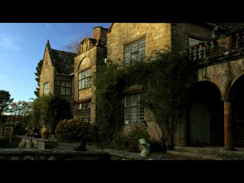 ALEX BROWN OIL PAINTING DEMO (Time-Lapse Photography)