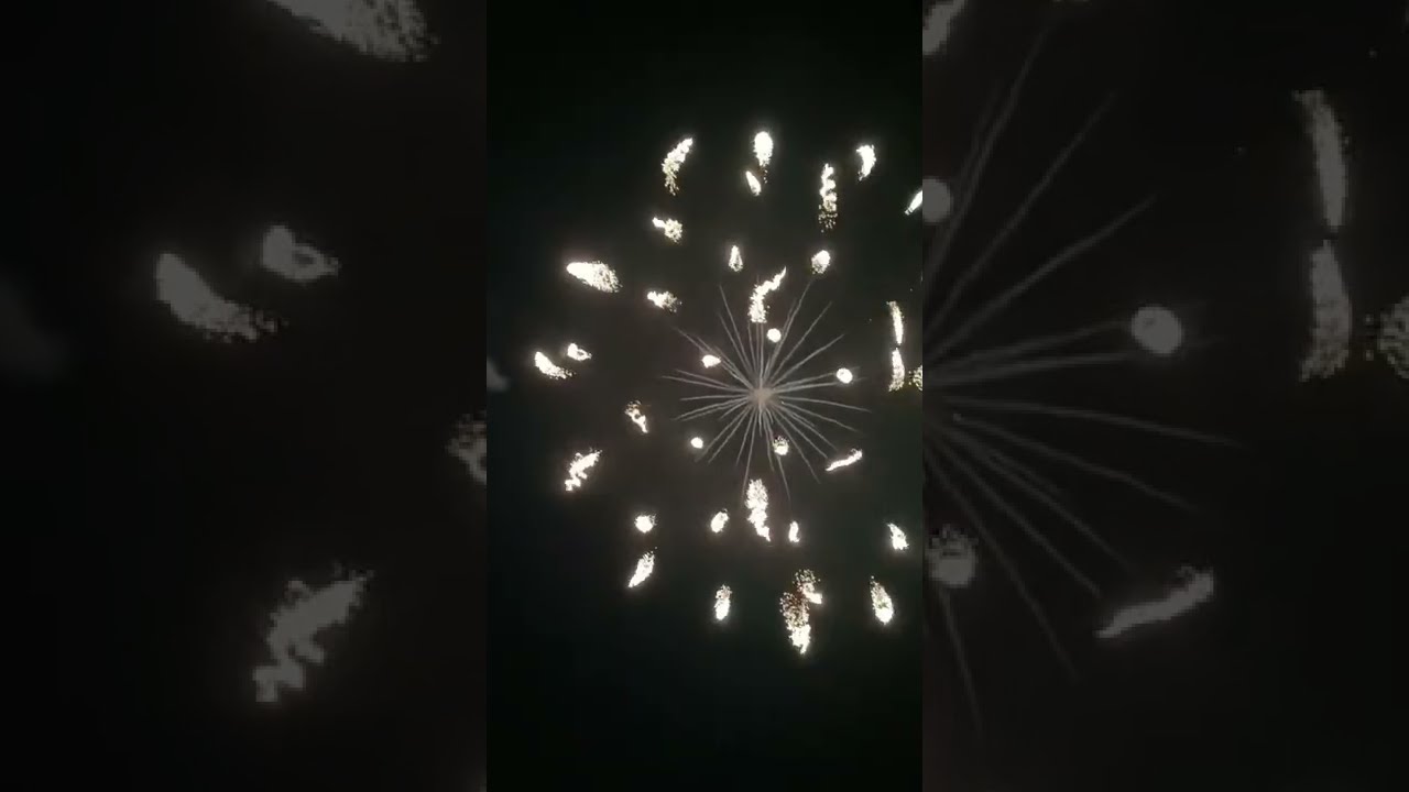 J04 Red Dalia with silver strobe pistil to silver tourbillion