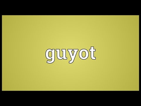 Guyot Meaning