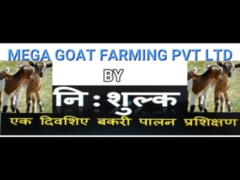 Mega Goat Farming - Goat Farming Training Wholesaler from Basti