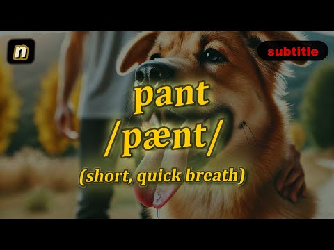 [n] Pant meaning (short, quick breath) with 5 examples
