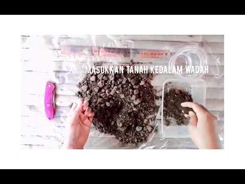 #ilmutanahunhas ~Tugas Pengamatan Tekstur Tanah~