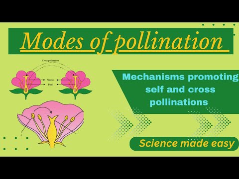 MODES OF POLLINATION | MECHANISMS PROMOTING SELF AND CROSS POLLINATION | SCIENCE MADE EASY