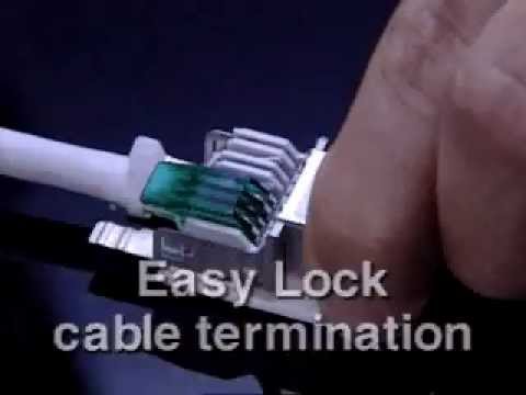 LAN Networking Services, LAN Services in India