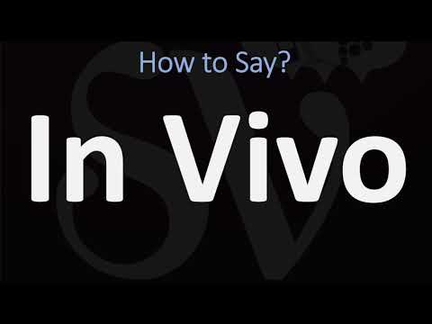 How to Pronounce In Vivo? (CORRECTLY)