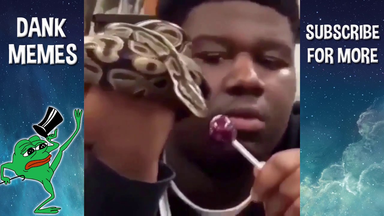 Dank Memes Vine Compilation V39