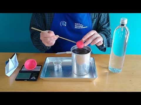 Science at Home: Principle of Buoyancy Experiment