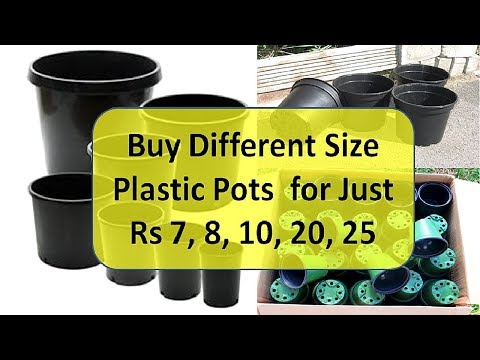 Nursery Pots - Nursery Planter Latest Price, Manufacturers & Suppliers