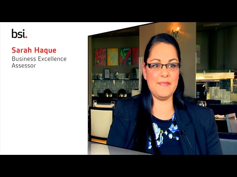 What is it like to be a BSI Business Excellence Assessor?