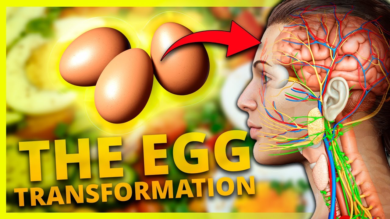 The Egg Transformation: 6 Reasons to Eat Eggs Every Day!