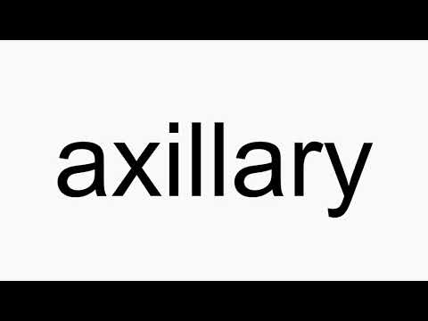 How to pronounce axillary