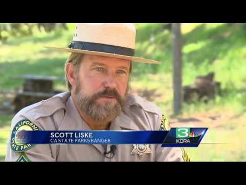 WARNING: Expect more ticks this summer in NorCal