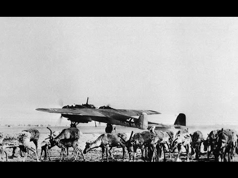 The craziest military plans that actually worked