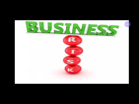 Business Risk|Class 11|NCERT syallbus in English