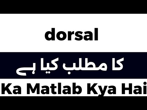Dorsal Meaning In Urdu | Dorsal Meaning | Dorsal Ka Matlab Kya Hota Hai | Dorsal Urdu Meaning
