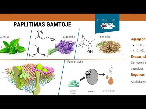 Organinė chemija. Alkoholiai.