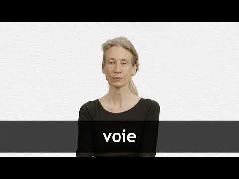 English Translation of “VOIE” | Collins French-English Dictionary