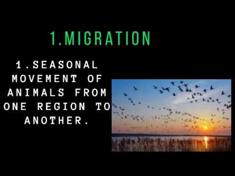 "Migration ",antonyms, usage in sentence.vocabulary gate.