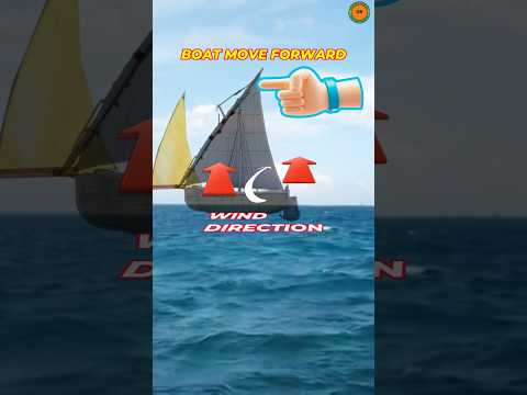 how sailboats sail against the wind in hindi | how sailboats work | how sailboats sail in the wind