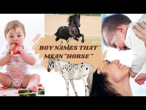 Boy Names That Mean Horse: Powerful and Spirited Choices