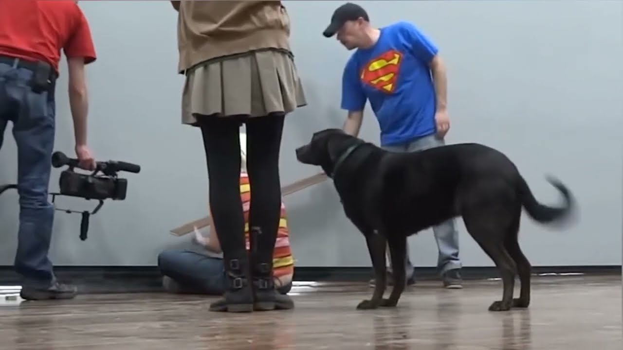 40 Minutes of Buttcrack