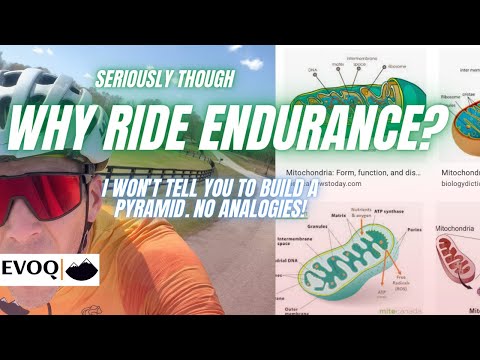 Why Do We Need Cycling Endurance Training? Does it really help FTP and VO2Max?