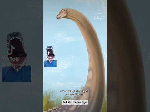 How Big were Sauropods?
