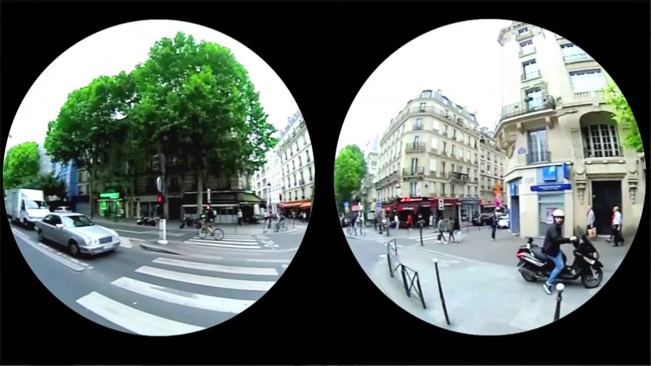 Chameleon Simulation