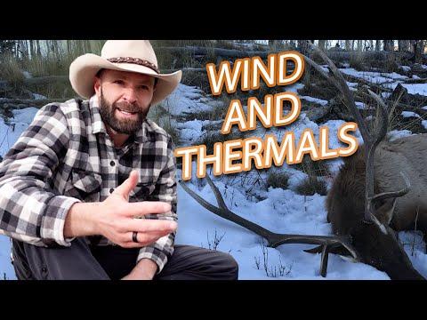 Understanding the Wind and Thermals for Mountain Hunting