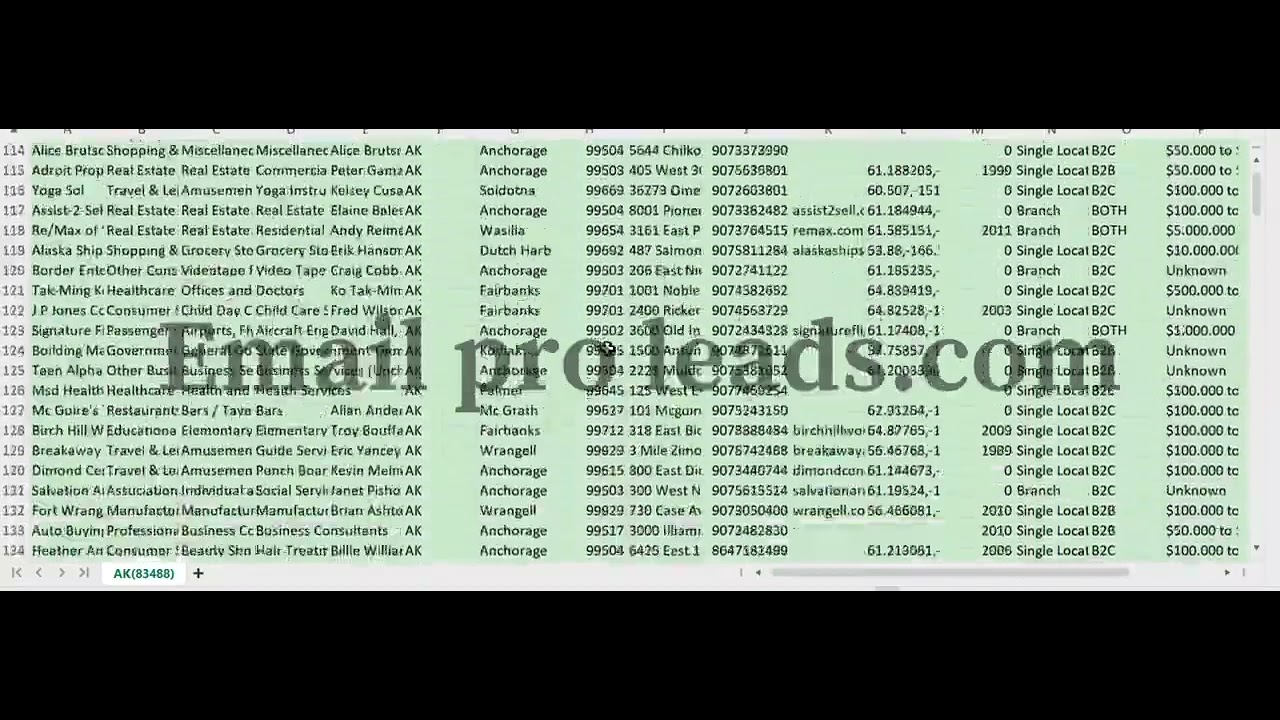 USA Business Email Leads | USA Business Email Provider | USA Business Email Database #database #USA