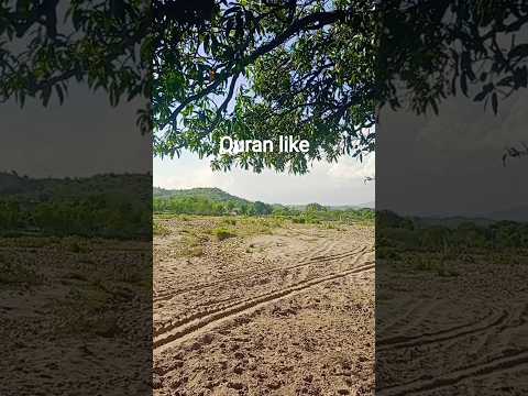 Al Quran Urdu translation surah Al ☝️