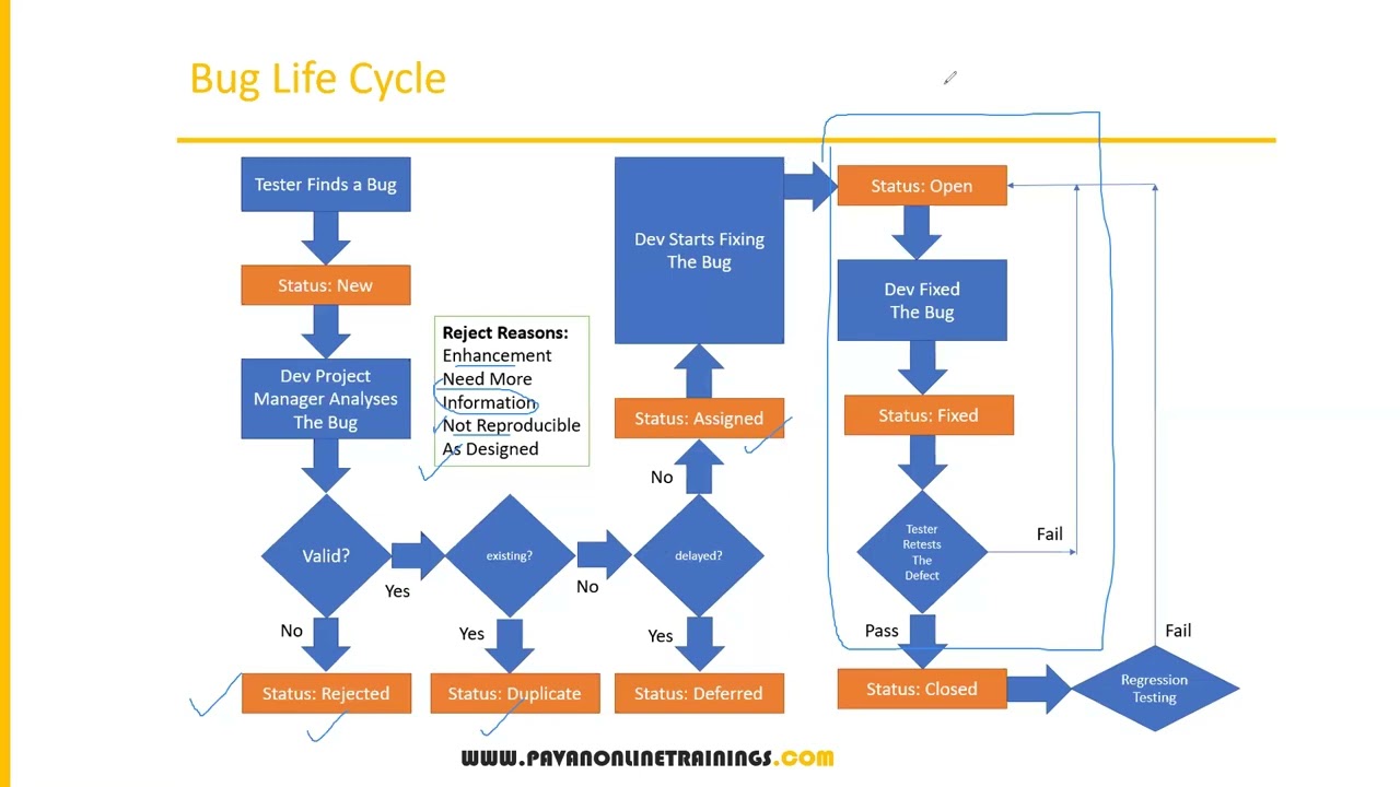 Manual Software Testing Training Part 9    2022 New Series