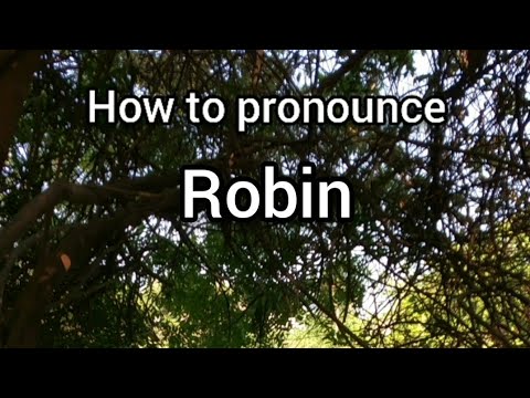 How to Pronounce Robin