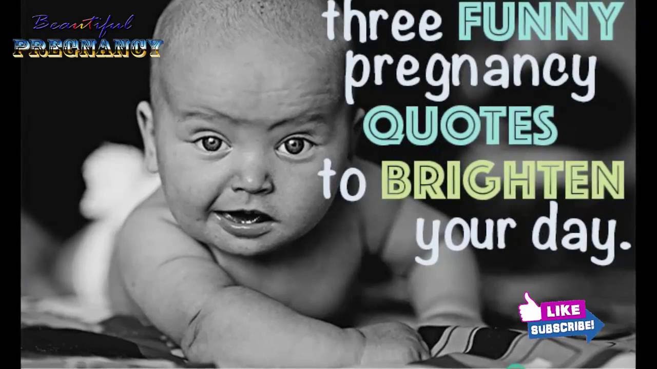 Funny Pregnancy Quotes  QuotesGram