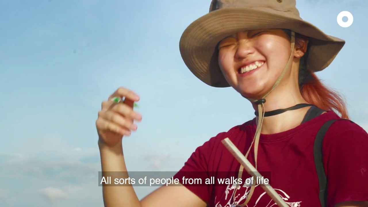 SEAGRASS 101 | WWF-SINGAPORE