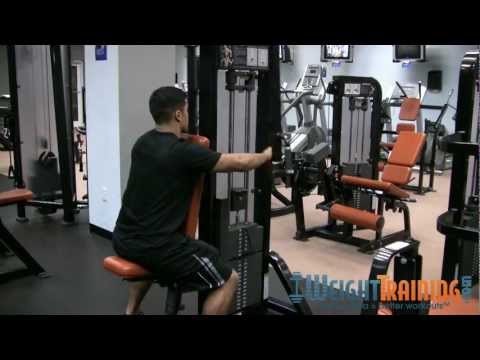 Machine Reverse Fly | Exercise.com