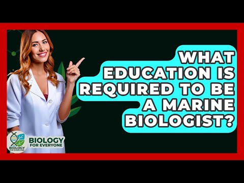 What Education Is Required To Be A Marine Biologist? - Biology For Everyone