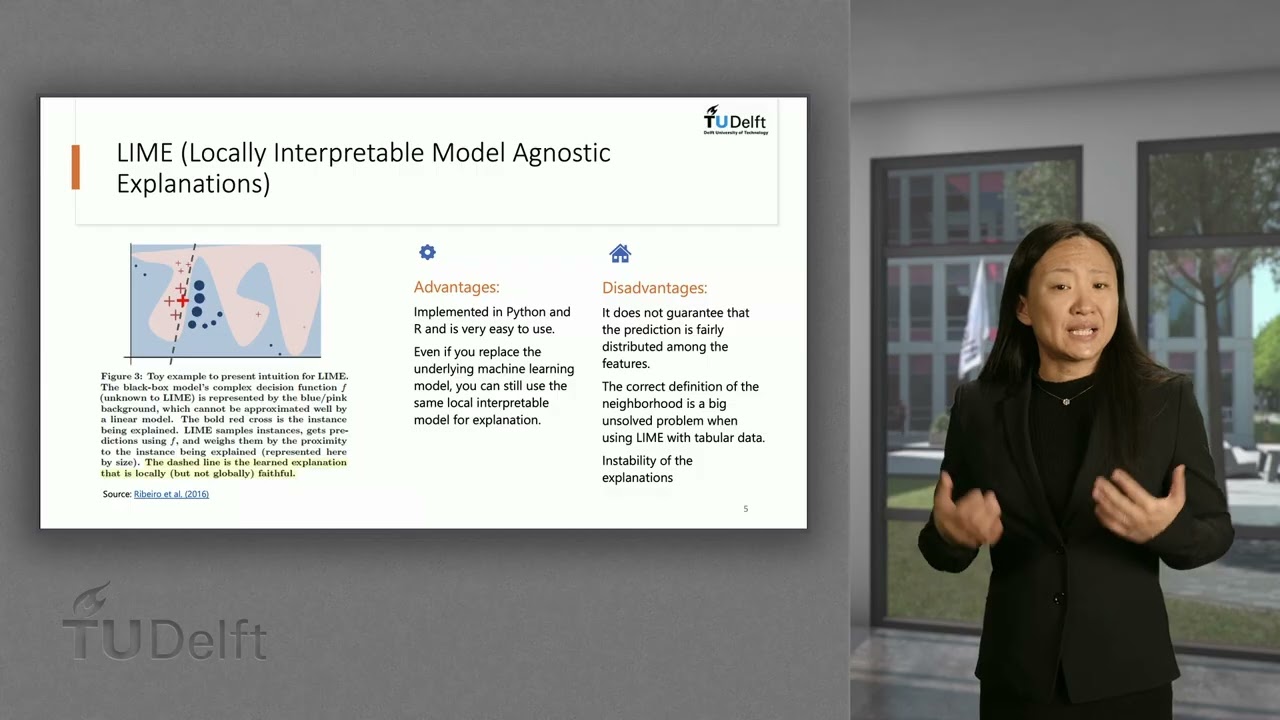 Explainable AI for Credit Scoring - Advanced Credit Risk Management Course (Sample Video)