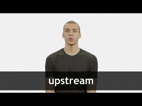 UPSTREAM definition and meaning | Collins English Dictionary