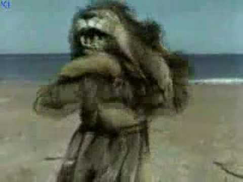 Monty Python - Lion