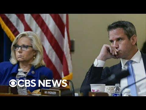 The impact of the January 6th committee hearings