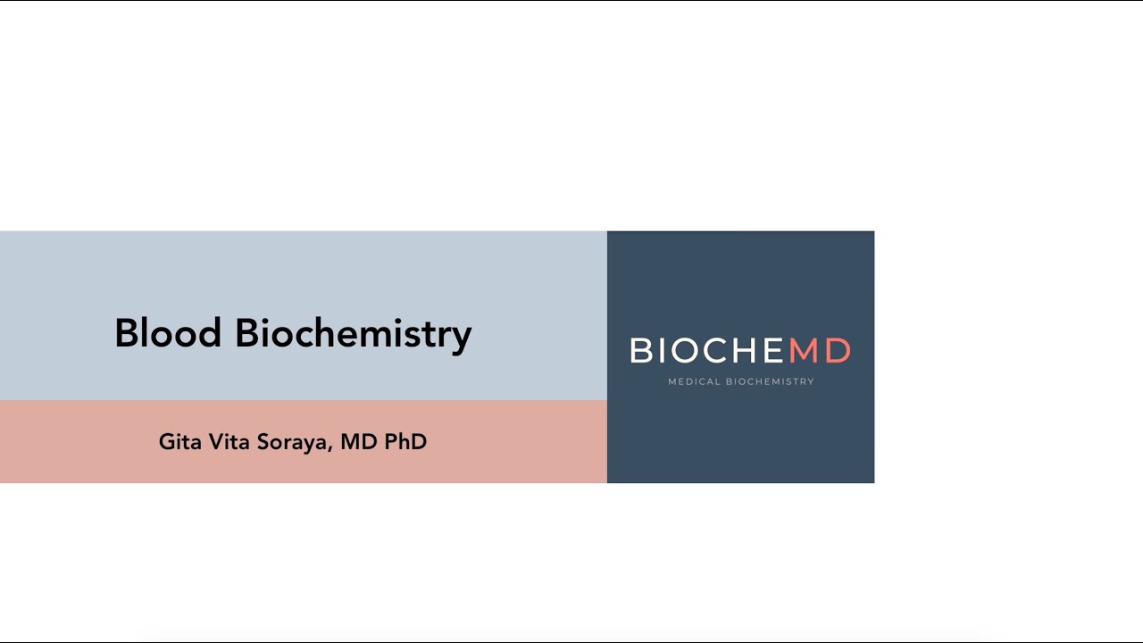 Understanding Blood Biochemistry: Functions, Components, and Hemostasis ...