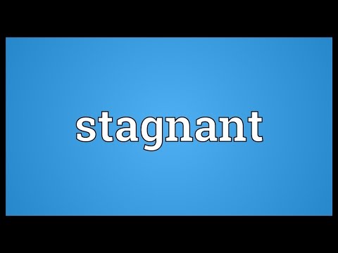 Stagnant Meaning