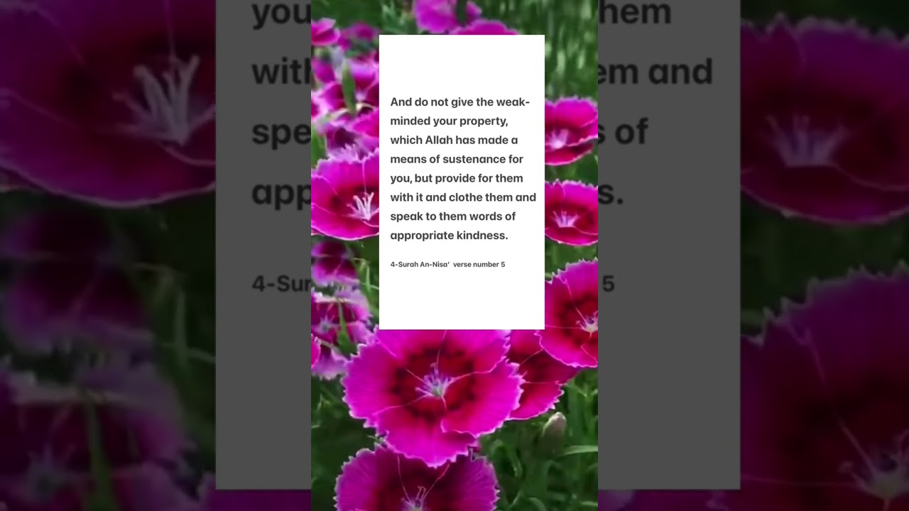 4 Surah An Nisa verse numbers 4 5 6 Recitation and translation