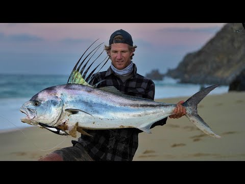 DOUBLE GIANT ROOSTERS FROM THE BEACH!!