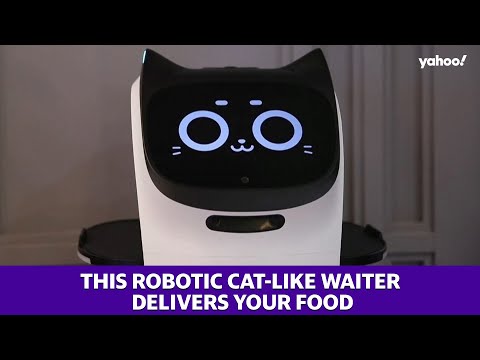 This robotic cat-like waiter delivers your food