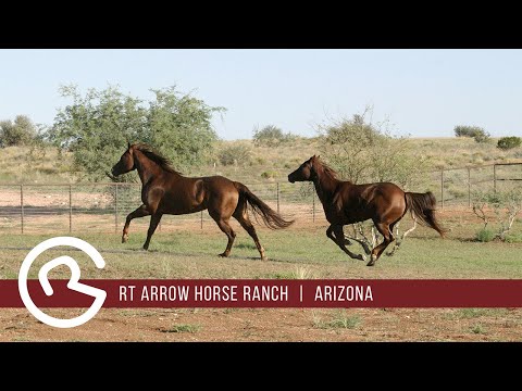 Arizona ranches for sale - RT Arrow Horse Ranch | Mason & Morse Ranch Company