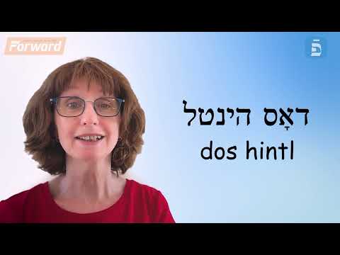 Yiddish Word of the Day: Dogs